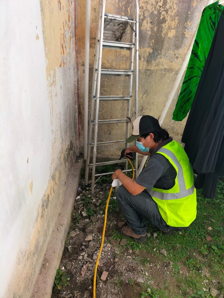 Basmi Rayap – Solusi Antai Rayap Bangunan Anda