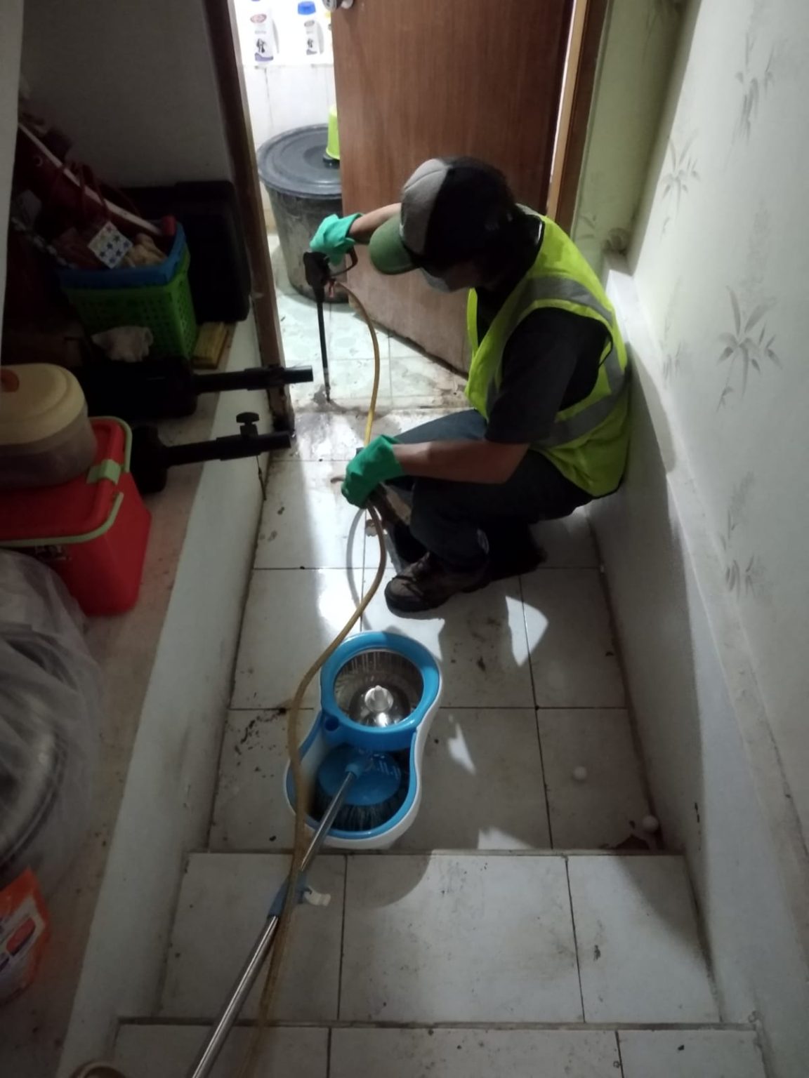 Basmi Rayap – Solusi Antai Rayap Bangunan Anda